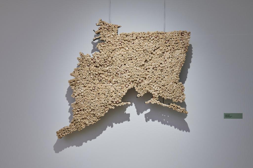 Olotera | Los huecos del agua | Museo Amparo, Puebla