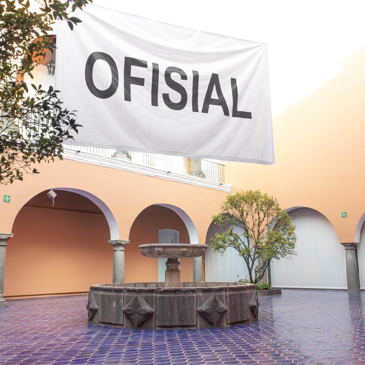 La institucionalidad de la institución -| Jonathan Hernández ...