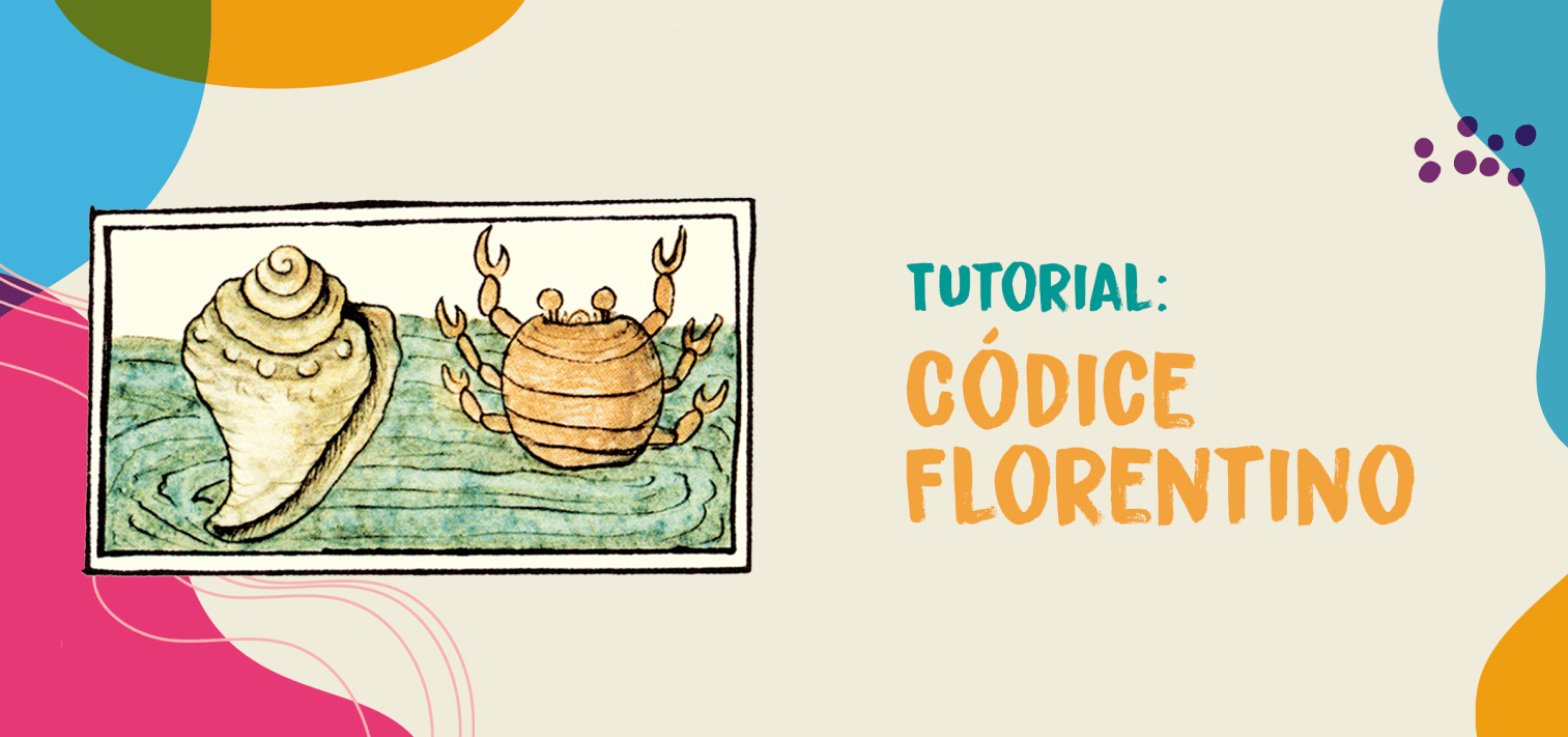 Tutorial | Códice florentino | Actividades | Museo Amparo, Puebla