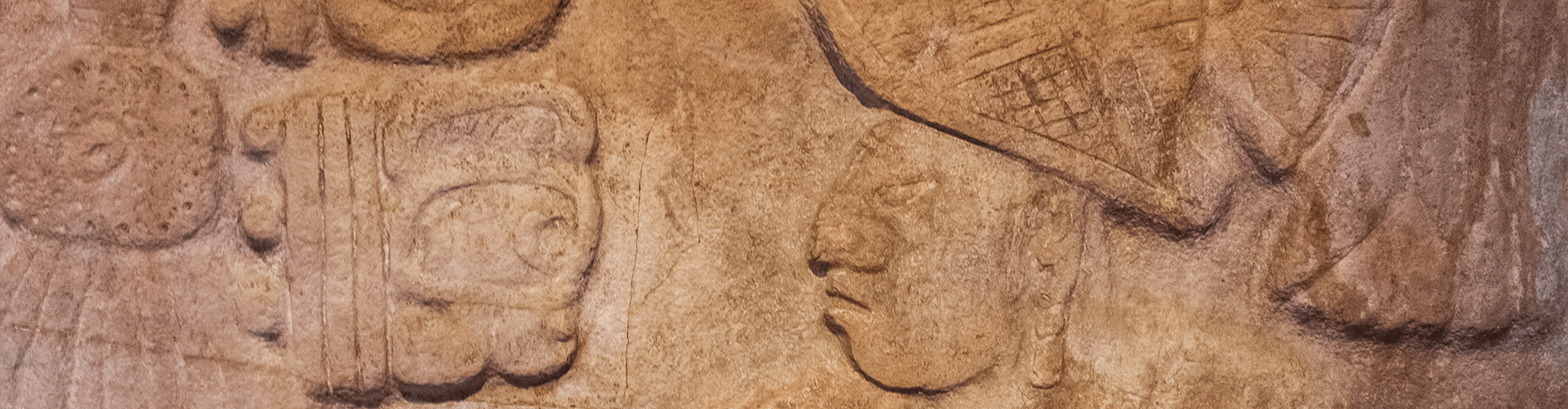 Estela maya | Actividades | Museo Amparo, Puebla